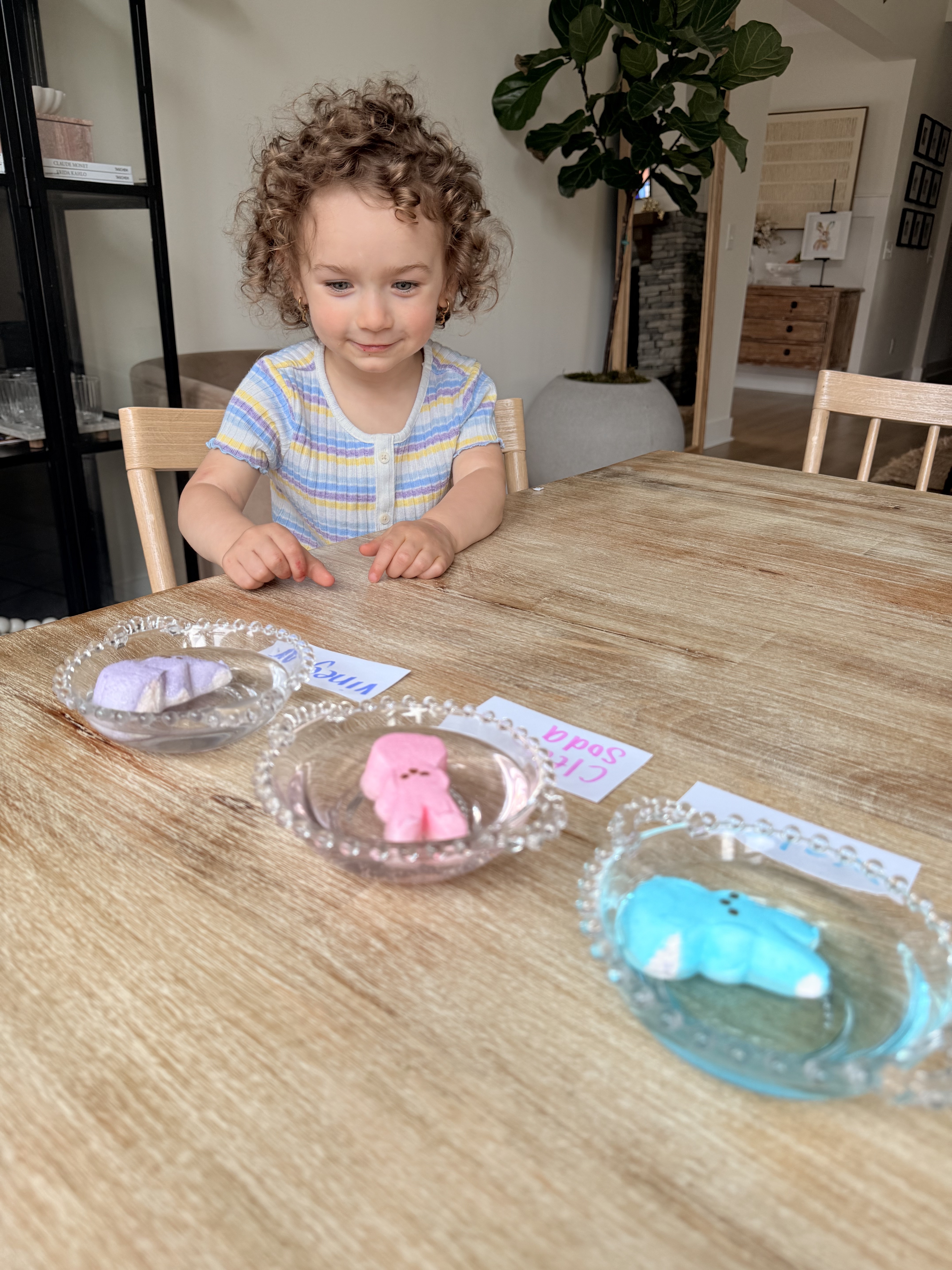 Free Peep™ STEM Experiments Activity - Project Playdates